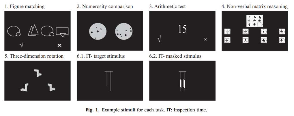 Article Form perception speed, Non-verbal number sense, Arithmetic fluency, Stimulus duration ...